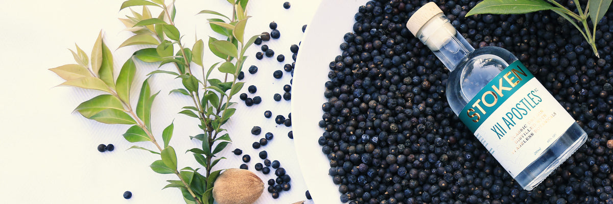 Product Collection – Stoken Gin